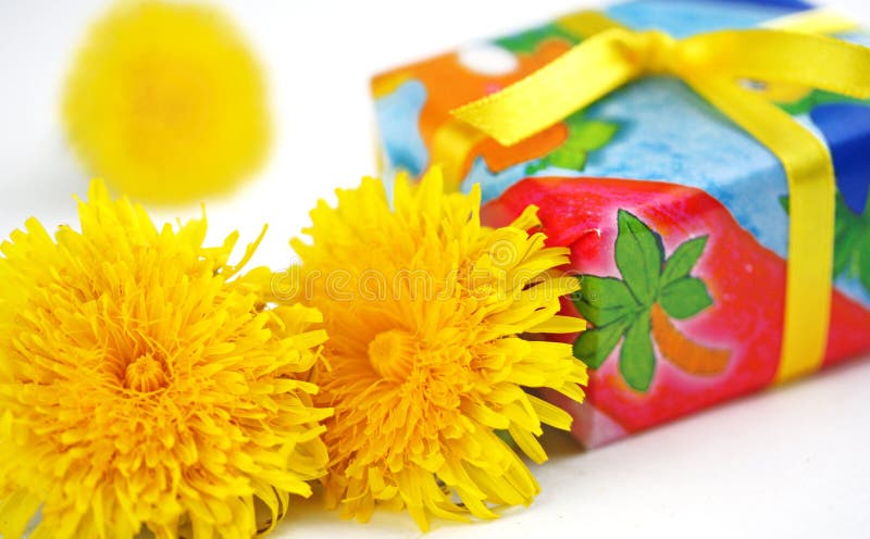 Yellow Flowers and a Present Stock Image - Image of wrapping, natural ...