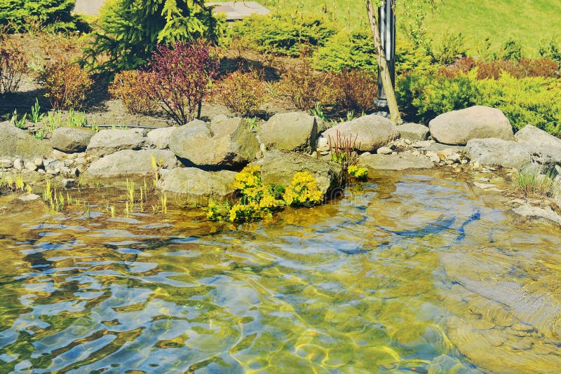 Yellow Flowers in the Rocks Above the River Stock Photo - Image of ...