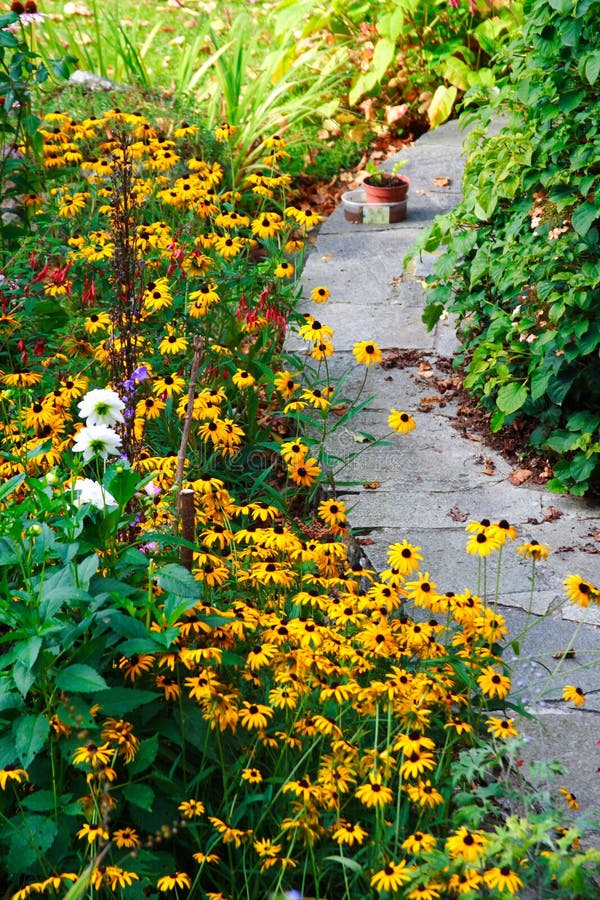 Yellow Flowers and Stone Path Stock Image - Image of stones ...