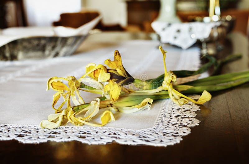 Yellow flowers on table stock image. Image of colors - 224250459