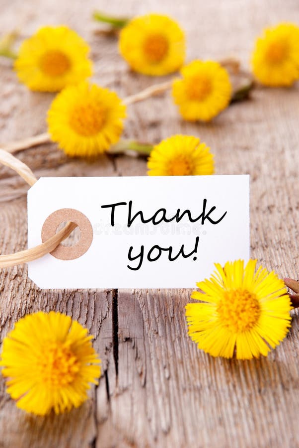 4,542 Thank You Flowers Photos - Free & Royalty-Free Stock Photos from ...