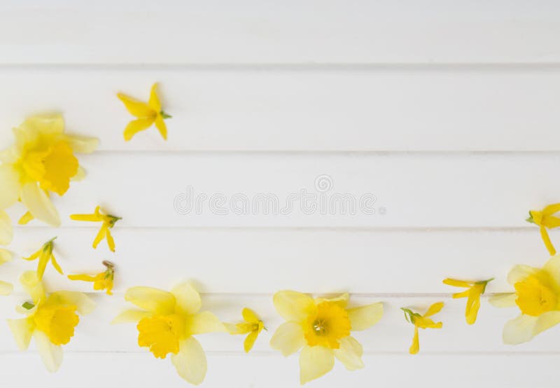Yellow Flowers on Wooden Background Stock Photo - Image of bloom, fresh ...