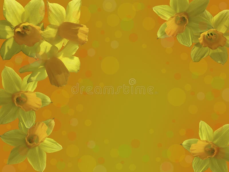 Yellow lily stock photo. Image of flowering, daisy, beautiful - 94694916
