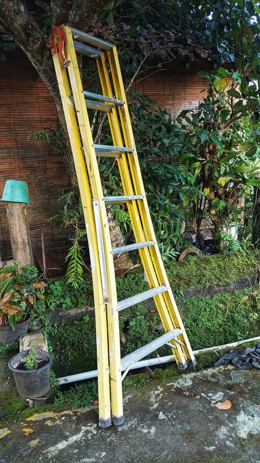 Yellow Folding Ladder Leaning Against a Tree in a Lush Garden Stock ...