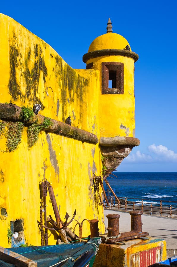 Yellow Fort in Funchal, Madeira Stock Photo - Image of portugal ...