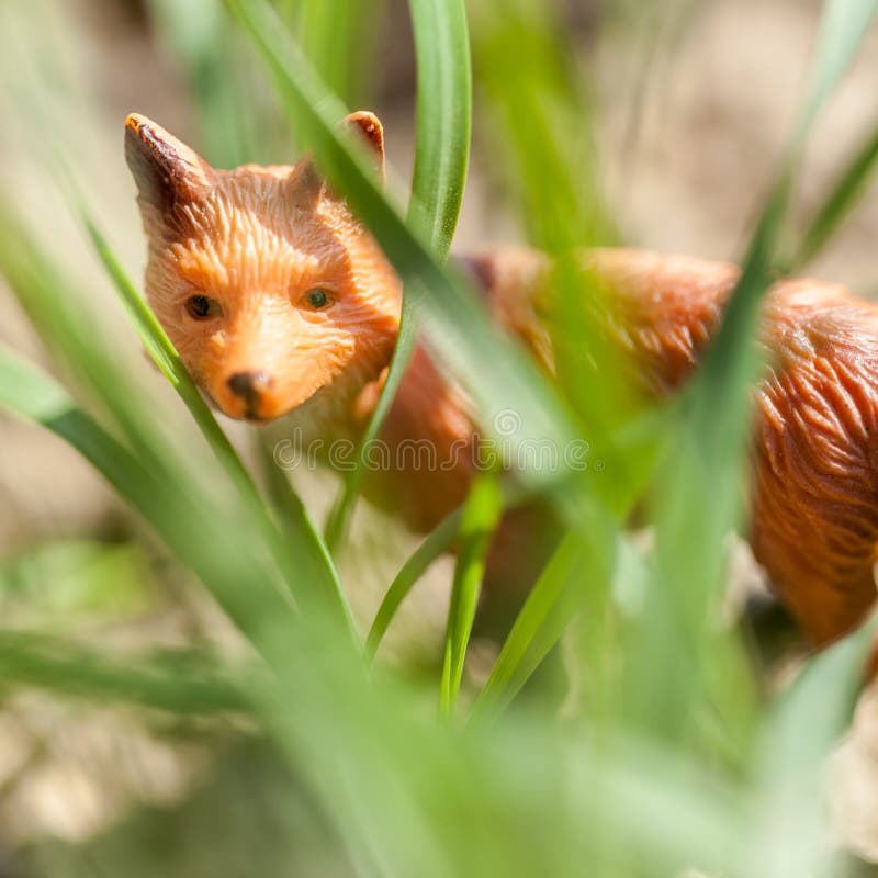 Yellow fox toy stock image. Image of wilderness, mammal - 45863009