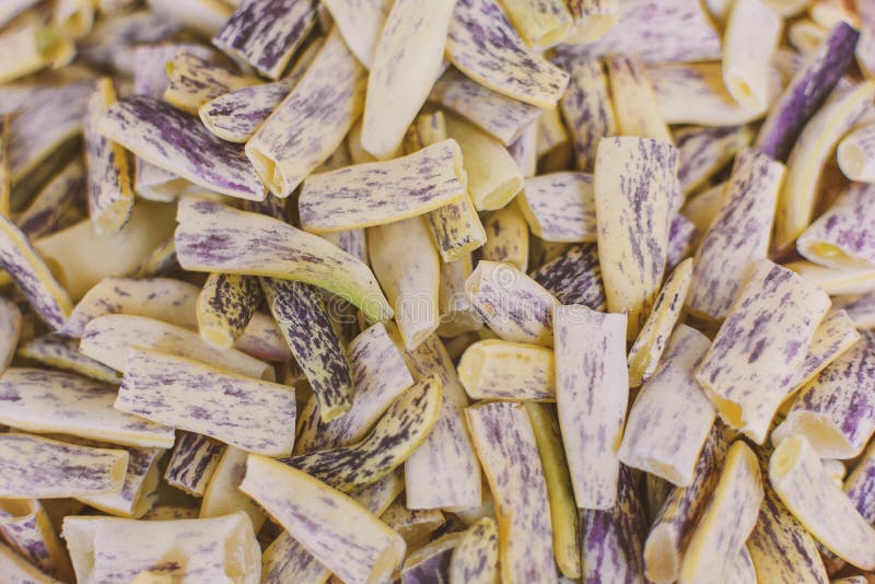 Fresh Bean Sprouts with Roots that Have Not Been Removed Stock Image ...