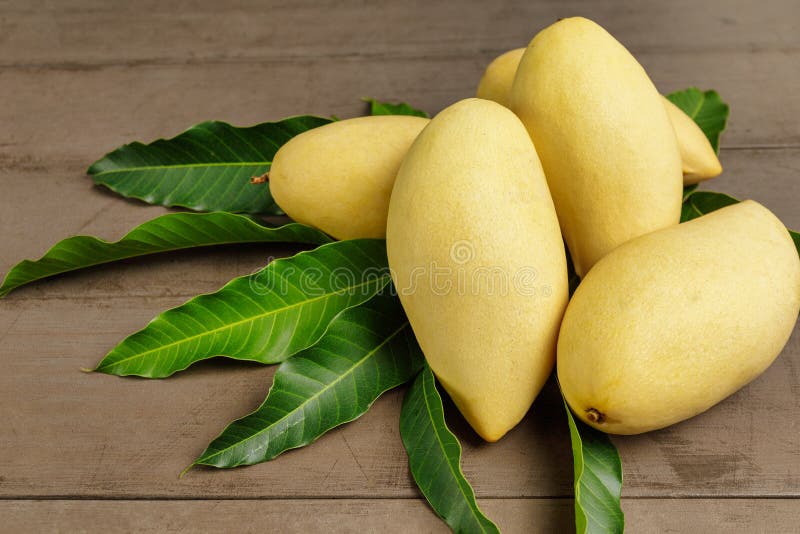 Yellow Fresh Mangos on Real Wood Table. Mango Tropical Fruit on Wood ...
