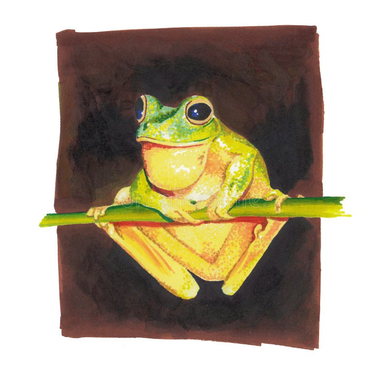 Yellow frog on a branch stock illustration. Illustration of artwork ...