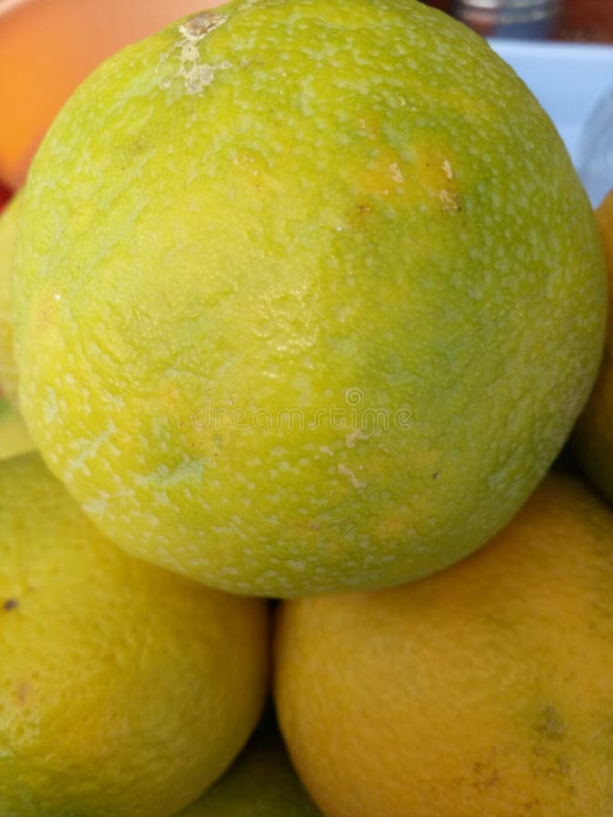 Mosami Stock Photos - Free & Royalty-Free Stock Photos from Dreamstime