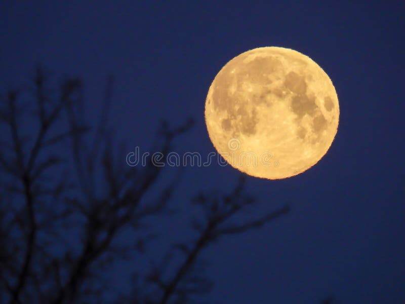 Yellow Full Moon in the Morning Sky Stock Image - Image of dark, luna ...