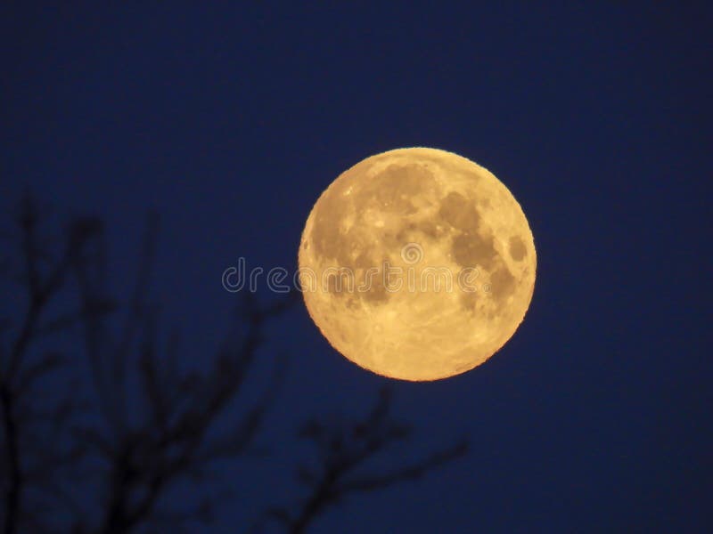 Yellow Full Moon In The Morning Sky Stock Photo - Image of moon, dark ...