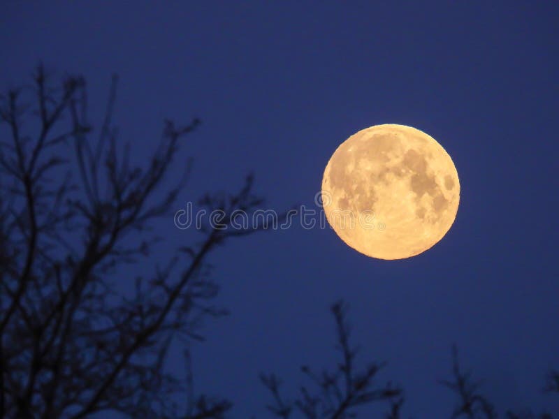 Yellow Full Moon in the Morning Sky Stock Image - Image of isolated ...