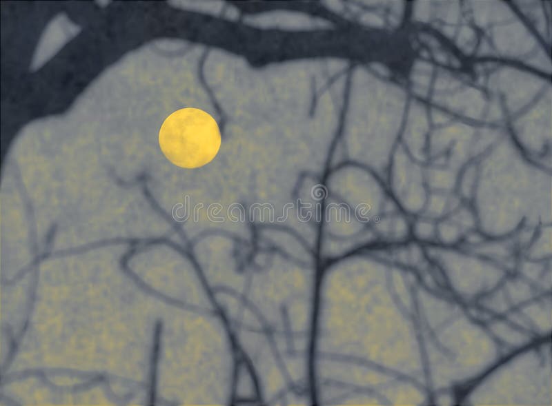 Yellow Full Moon Seen through the Branches of a Tree Stock Image ...