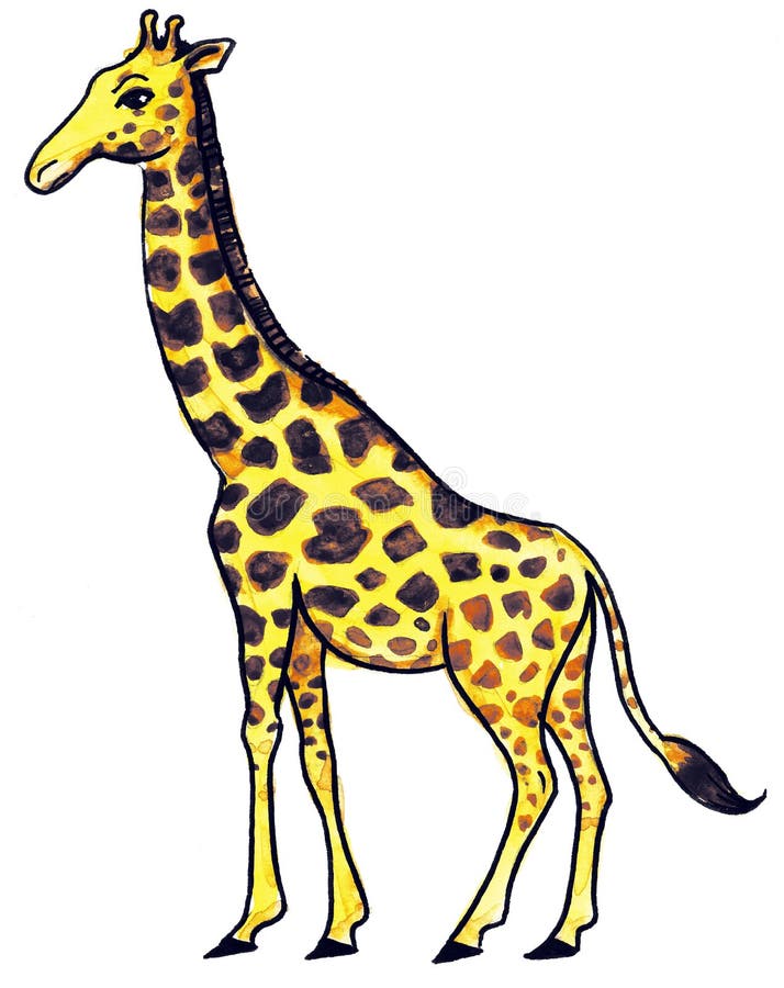 100+ Yellow giraffe Free Stock Photos - StockFreeImages