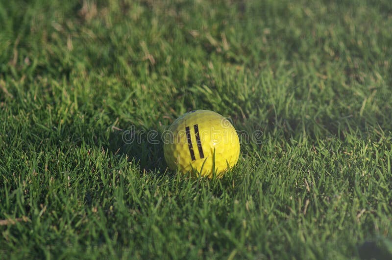 Yellow golf ball stock image. Image of grass, leisure - 107336497