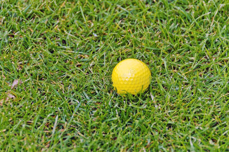 Yellow golf stock image. Image of meadow, sward, lawn - 43261479