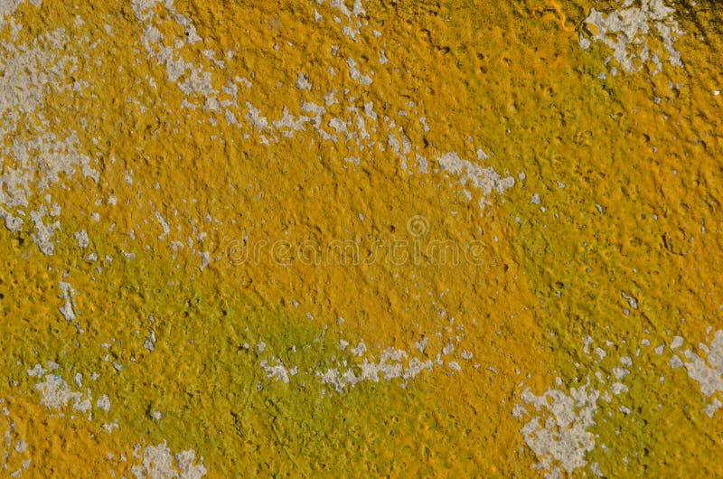 Yellow graffiti paint stock photo. Image of colors, graffiti - 77708182