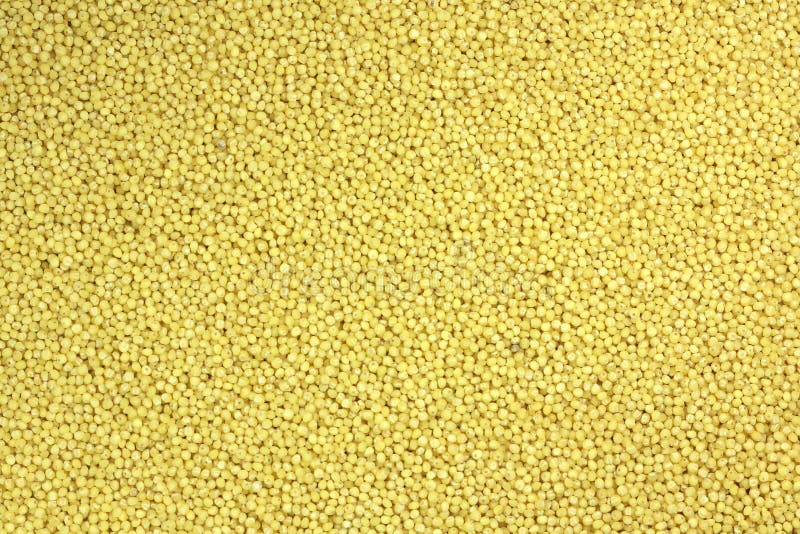 Yellow grain millet stock photo. Image of background - 35642956