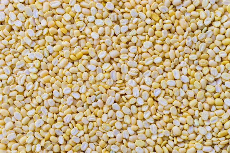 Yellow grains background. stock photo. Image of mung - 72202556