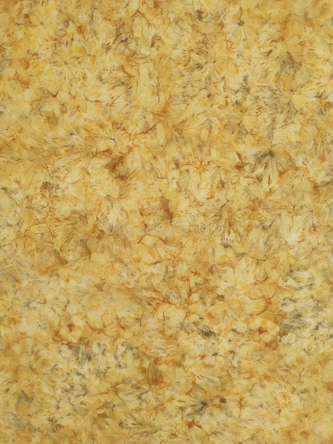Yellow Granite Tiles Texture Shot on Natural Light Stock Image - Image ...