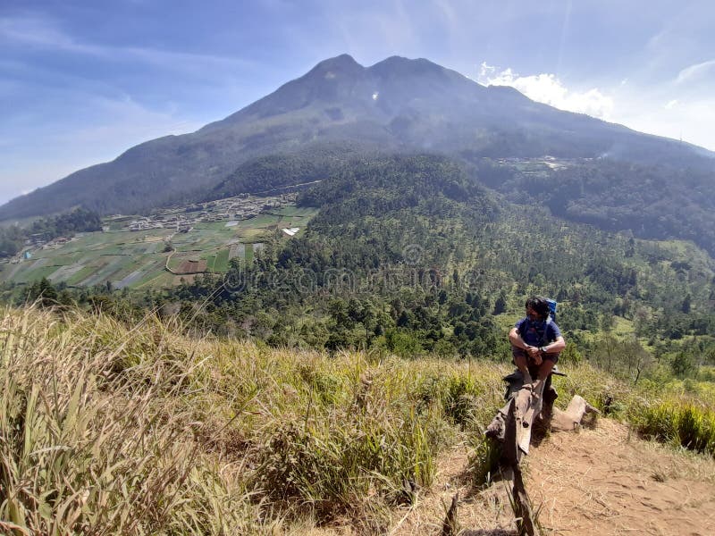 The Yellow Grass Fields on Mongkrang Hill Editorial Stock Image - Image ...