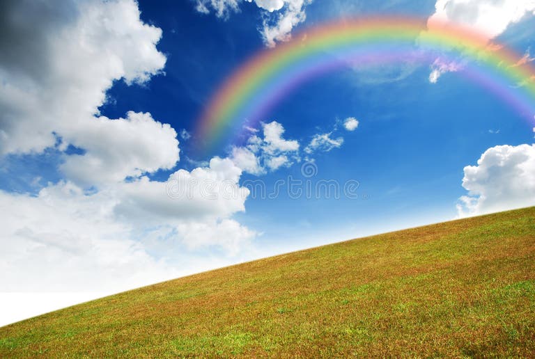 Yellow grass landscape stock photo. Image of land, fresh - 24050076