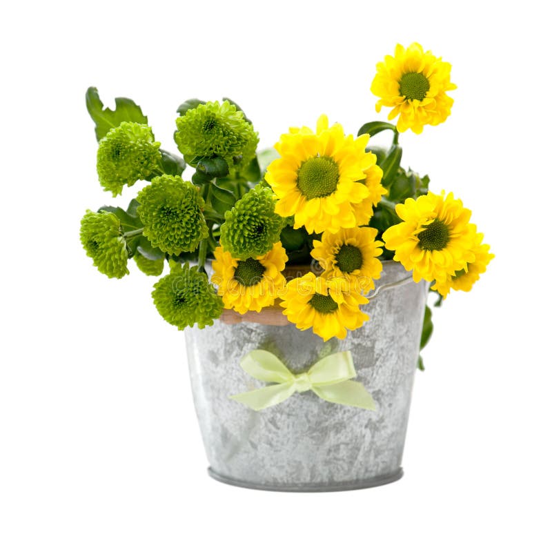 Yellow and Green Flowers in Bucket Stock Image - Image of decoration ...