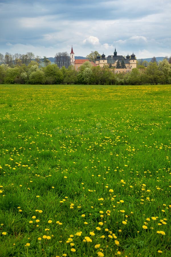 Yellow green grass field stock image. Image of color - 84678419