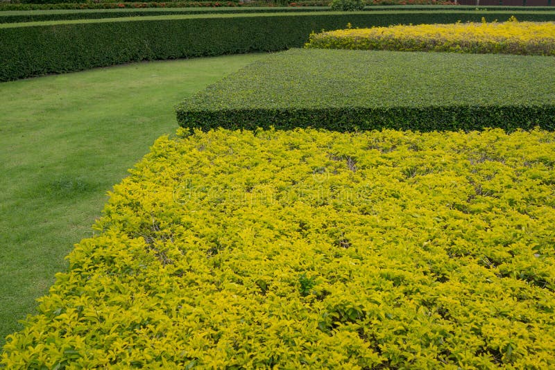 126 Curved Hedges Stock Photos - Free & Royalty-Free Stock Photos from ...