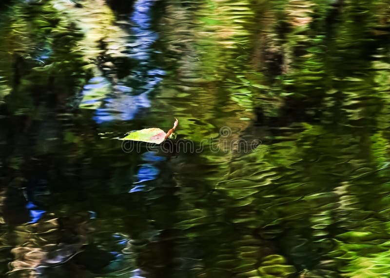 Leaf Floating Blissfully in Green Reflection Zone Stock Photo - Image ...
