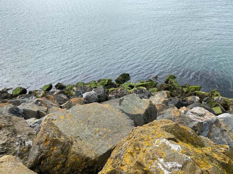 Yellow and Green Lichen on Rocks Stock Photo - Image of cliff, coast ...
