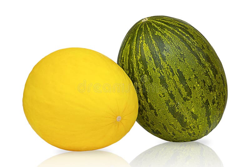Yellow and Green Melon Isolated on White Stock Image - Image of ripe ...