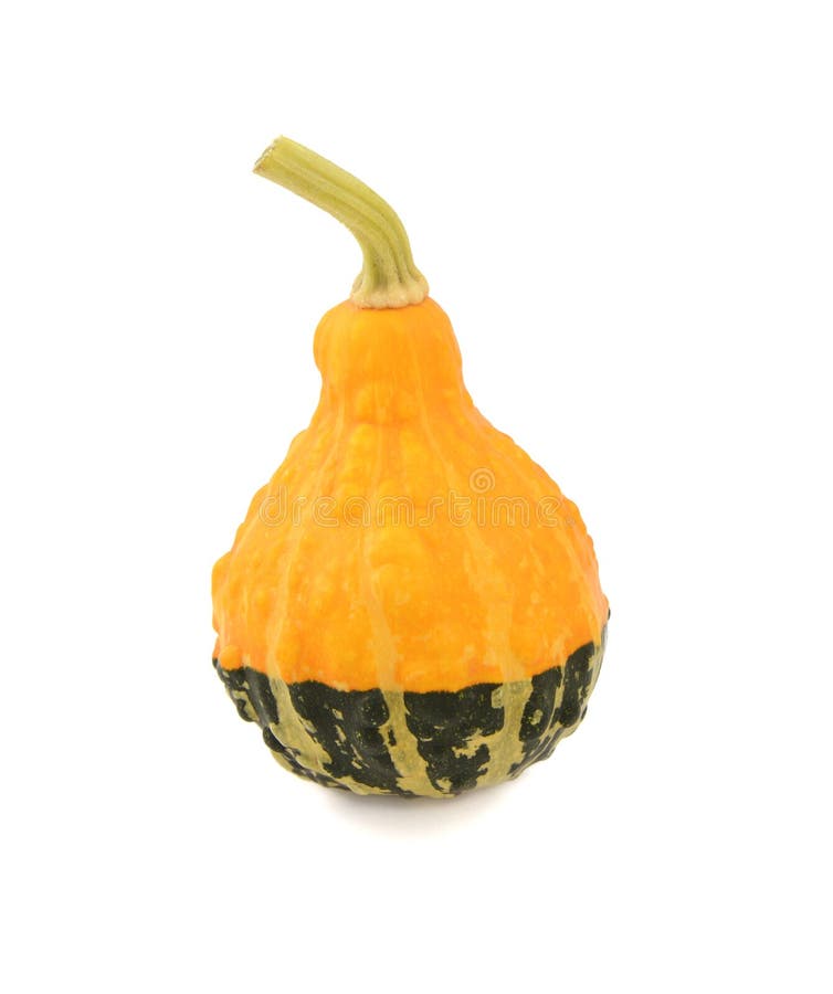 Yellow and Green Ornamental Gourd Stock Image - Image of gourd, pepo ...