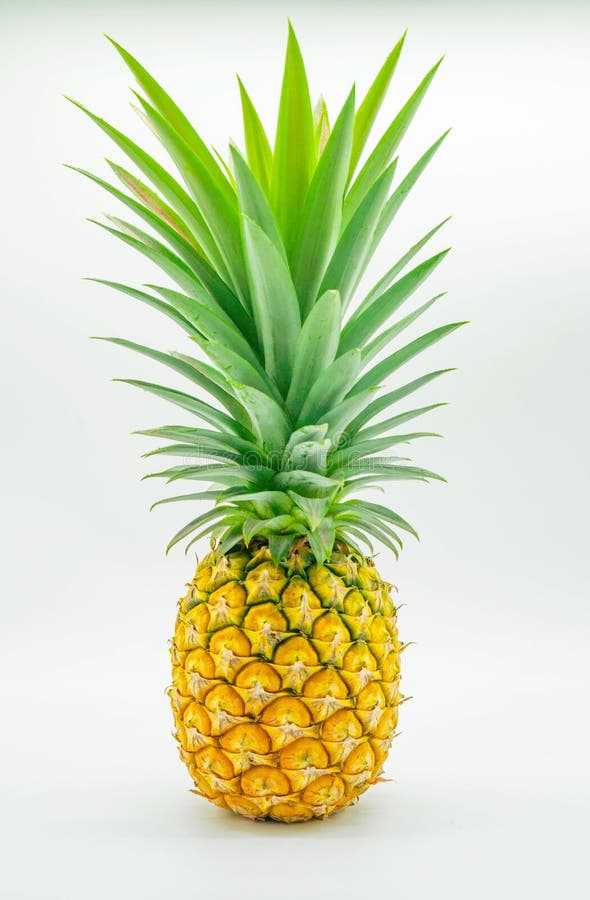 Green pineapple stock image. Image of green, color, delicious - 21912427