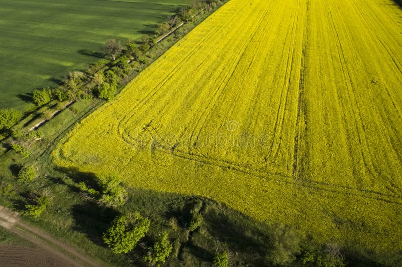 Yellow and Green Fields, Aerial View Stock Photo - Image of outdoor ...