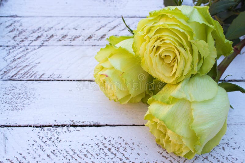 Yellow-green Roses on Wooden Background Stock Image - Image of postcard ...