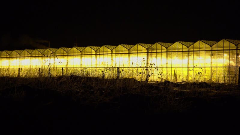 Yellow Greenhouse Closeup stock video. Video of closeup - 163899981