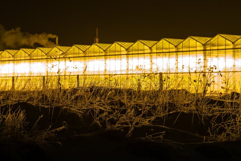 Yellow Greenhouse Glowing at Night Stock Image - Image of yellow, light ...