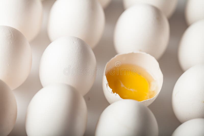 Single Cracked Egg Amongst Many Intact Eggs Close Stock Image - Image ...