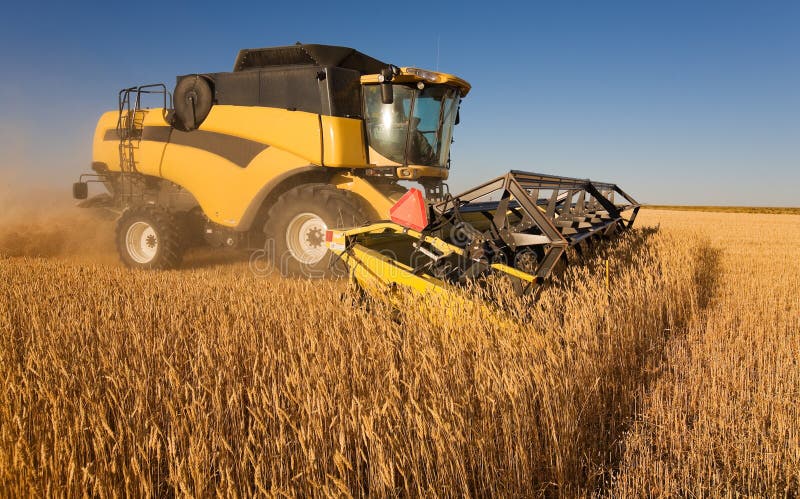 Harvest work stock photo. Image of crop, produce, golden - 2962958