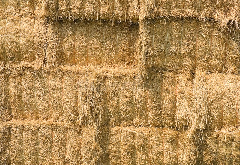 Hay bales stock image. Image of farmland, farm, golden - 16843941