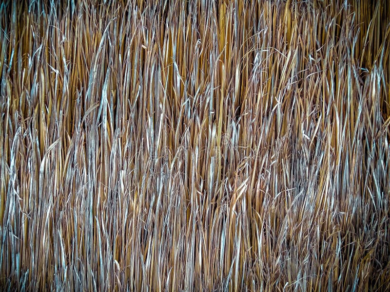 Yellow Hay Roof Background Design Wallpaper Background Stock Image ...