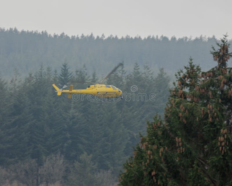 A Yellow Helicopter Flying Past Some Pine Trees in the Wilderness ...