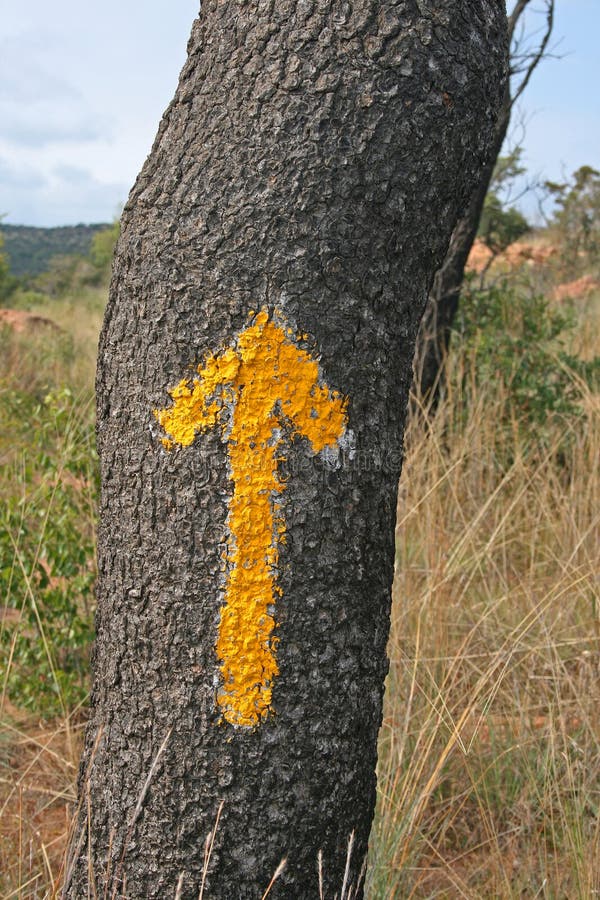 Yellow Arrow on Tree Trunk Serving As Trail Indicator Stock Image ...