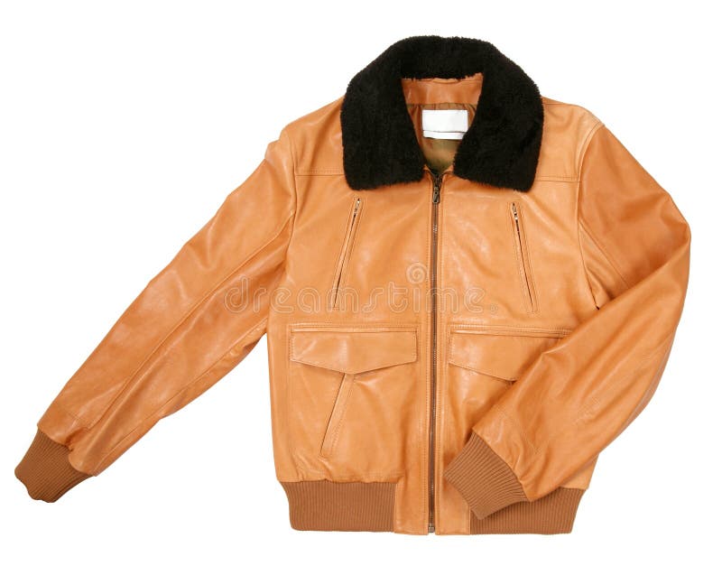 Yellow jacket stock photo. Image of clothing, jacket, yellow - 8037970