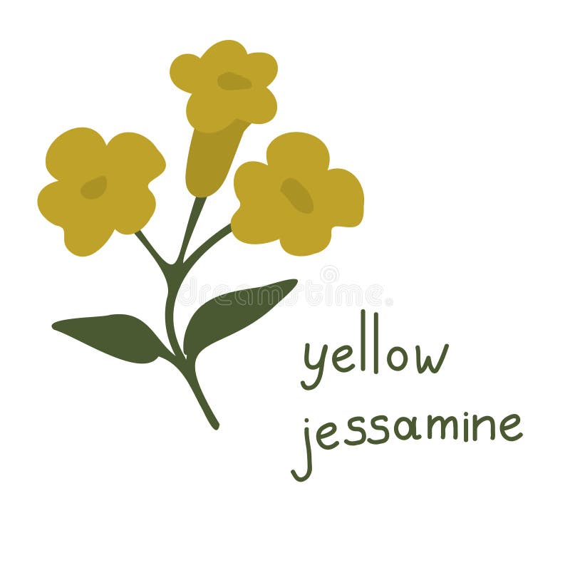 Yellow Flower Stems Stock Illustrations – 24,158 Yellow Flower Stems ...