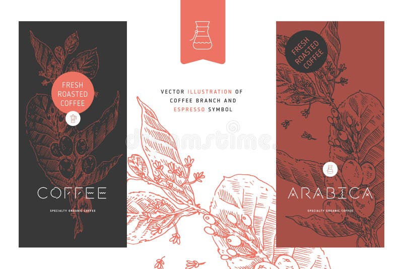 Vintage Coffee Label Template with Vector Coffee Bean Drawing in ...