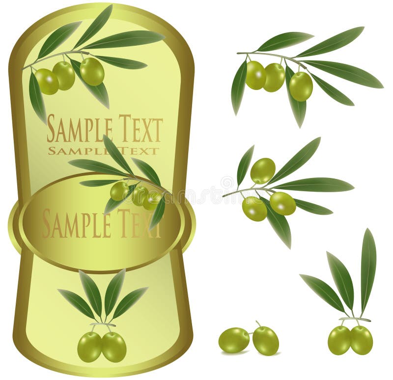 Yellow Label with Green Olives. Stock Vector - Illustration of cosmetic ...