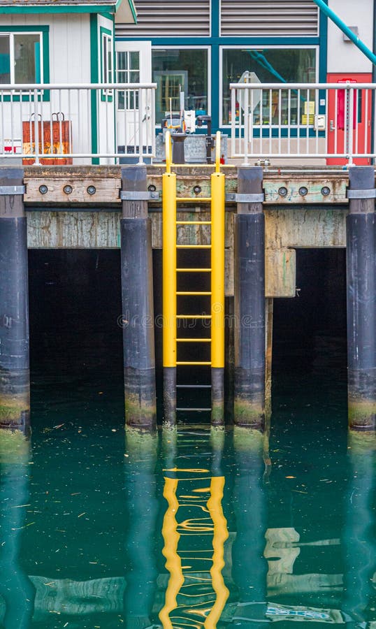 Yellow Ladder into Green stock image. Image of water - 155168997